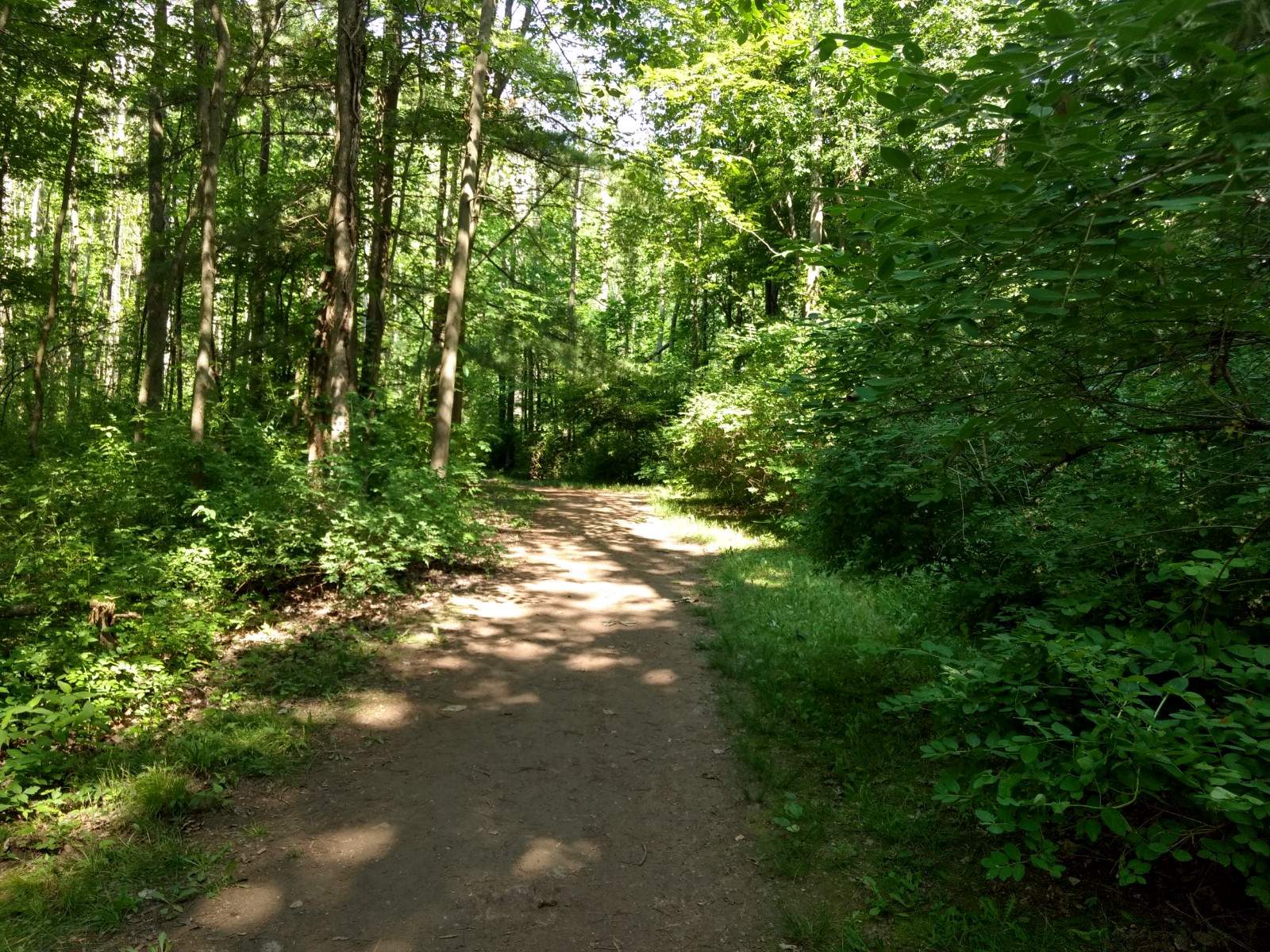 Thank you, Friends of Webster Trails! | webster on the web