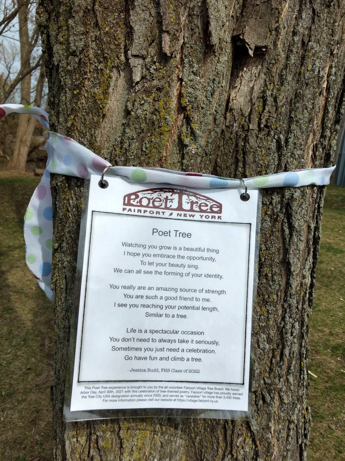 Some thoughts from the trail | webster on the web