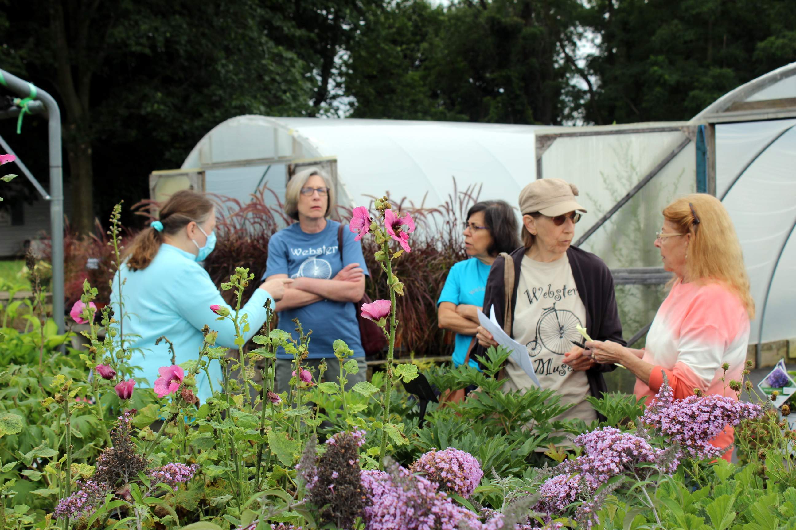 The Webster Museum is bloomin’ beautiful! | webster on the web