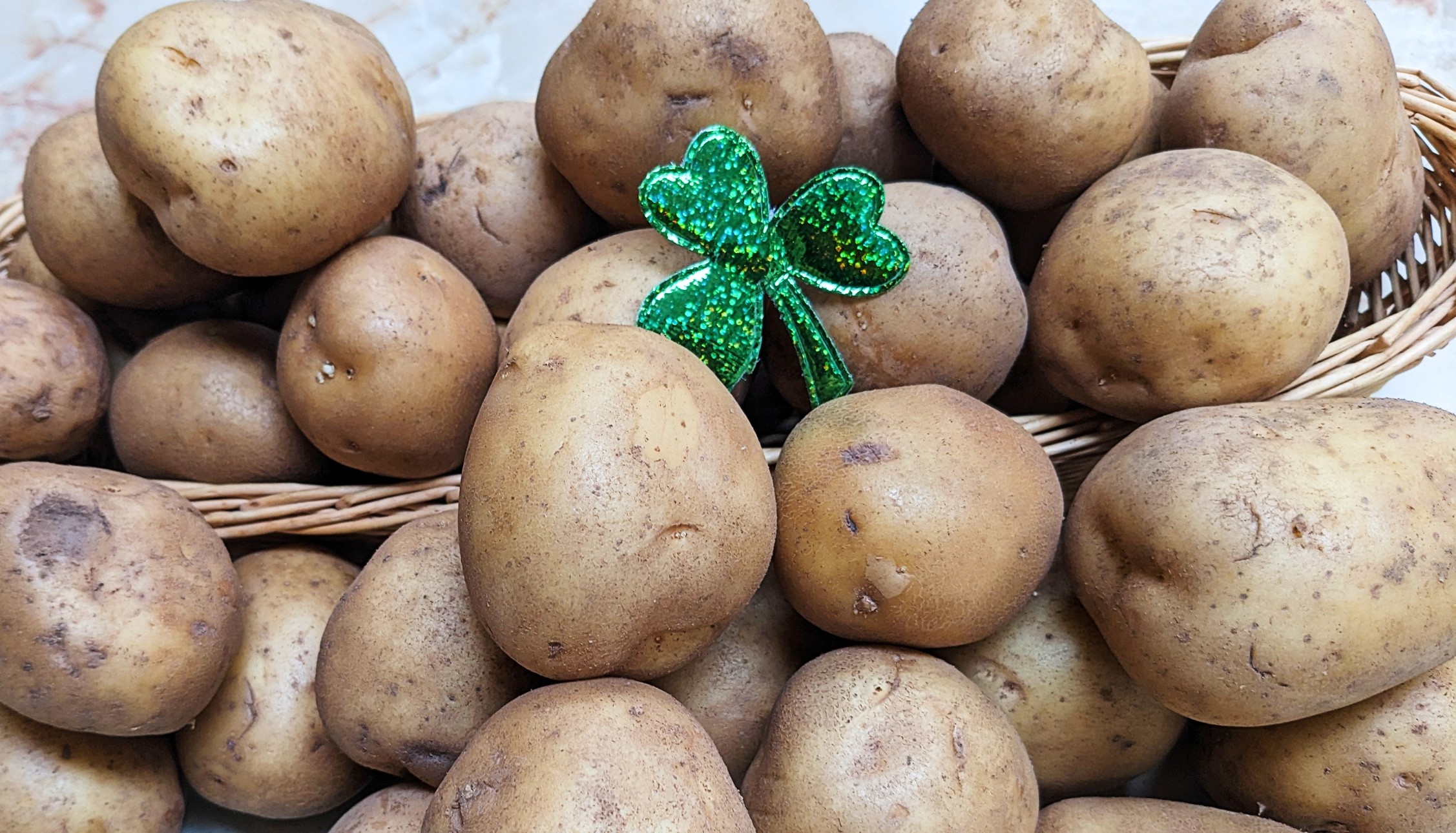 Webster History Bit: a little respect for the proud Irish potato ...