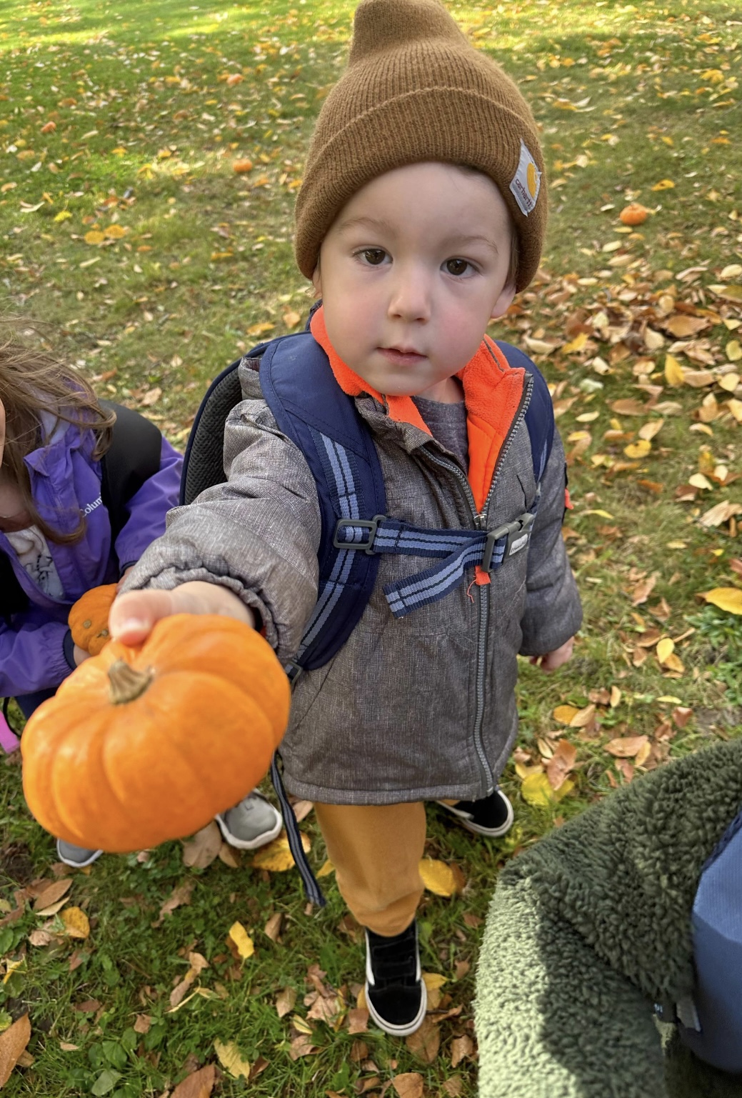 A “magic” pumpkin patch grows at Woodside Nursery School | webster on ...