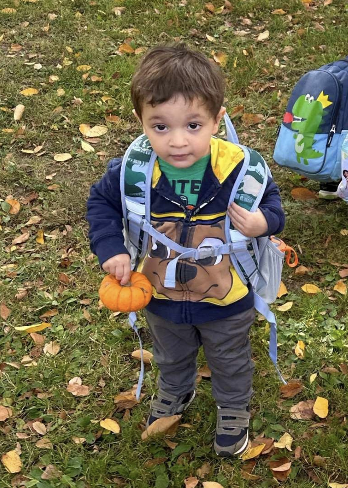 A “magic” pumpkin patch grows at Woodside Nursery School | webster on ...