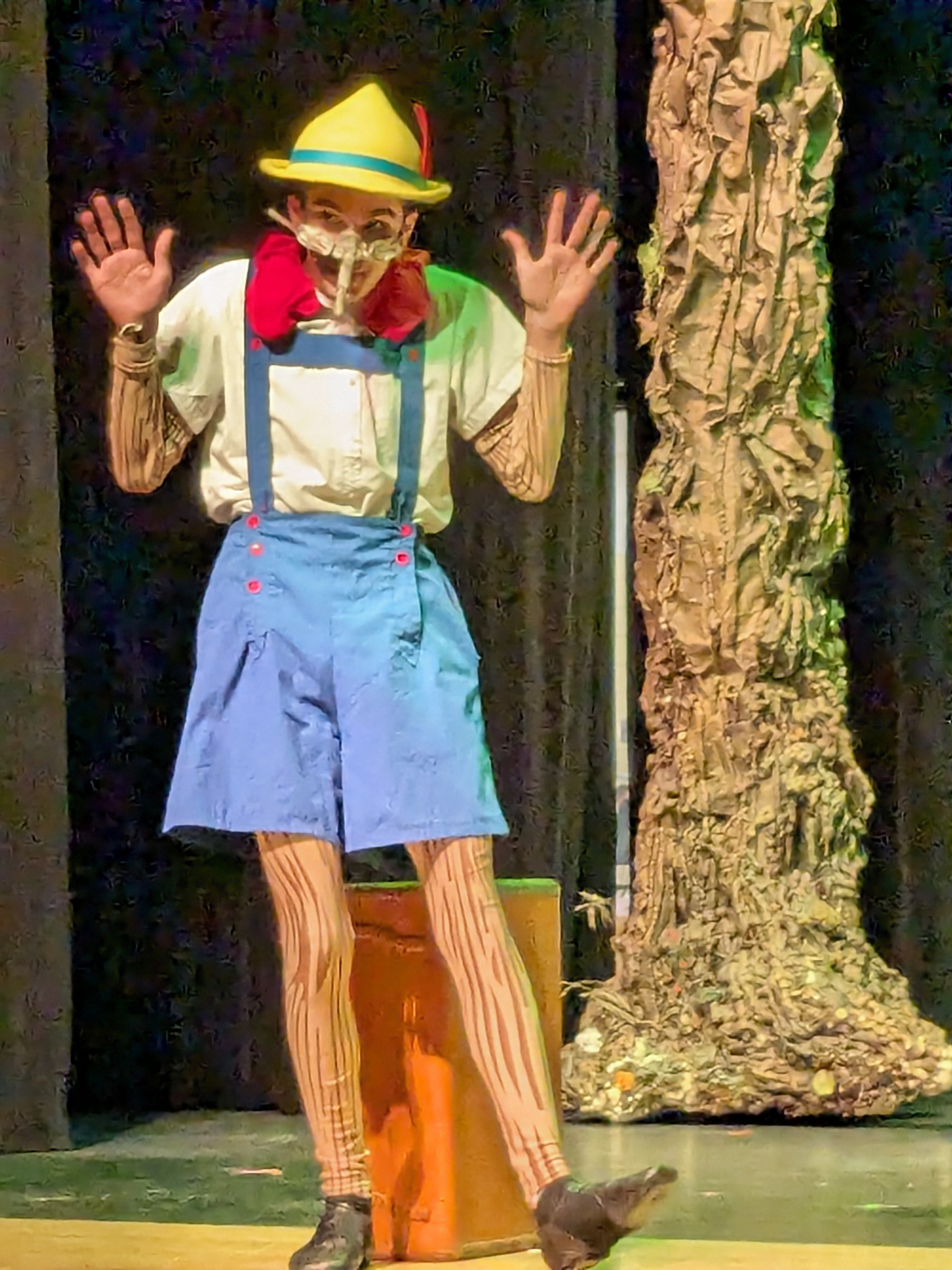 Thomas brings ogre-sized family fun to the stage with Shrek the Musical ...