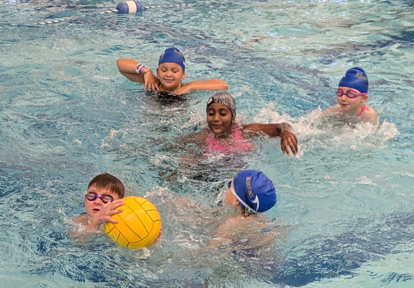 Webster BlueFins swim team is all about community | webster on the web